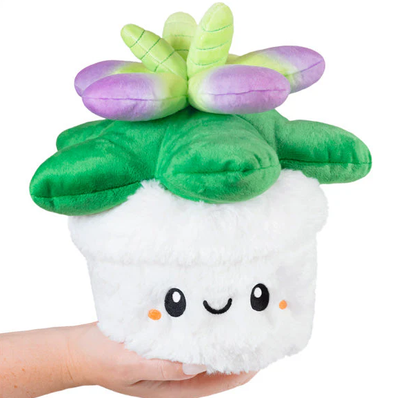 Mini Squishable Succulent ***RETIRING - LAST CHANCE! WILL NOT BE RESTO – Sloan Museum & Longway ...